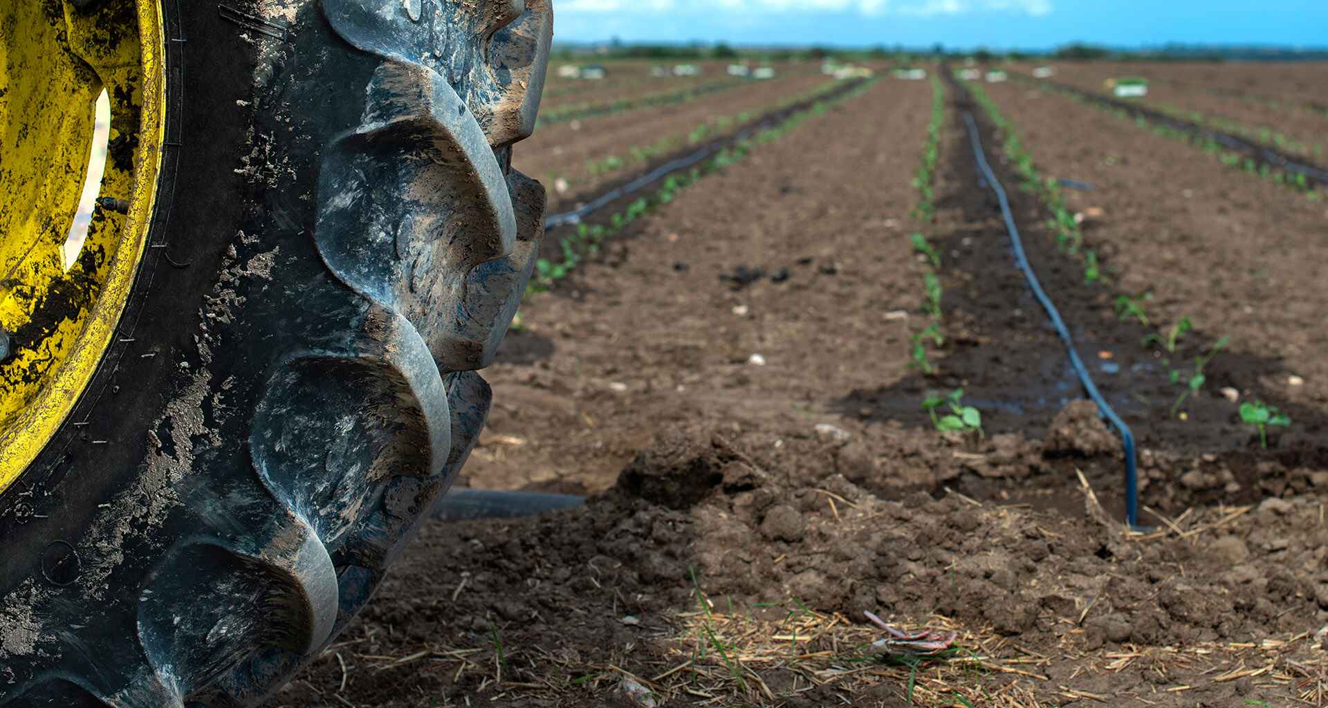 Comprehensive Guide to Tractor Tyres for Farm and Field Applications ...